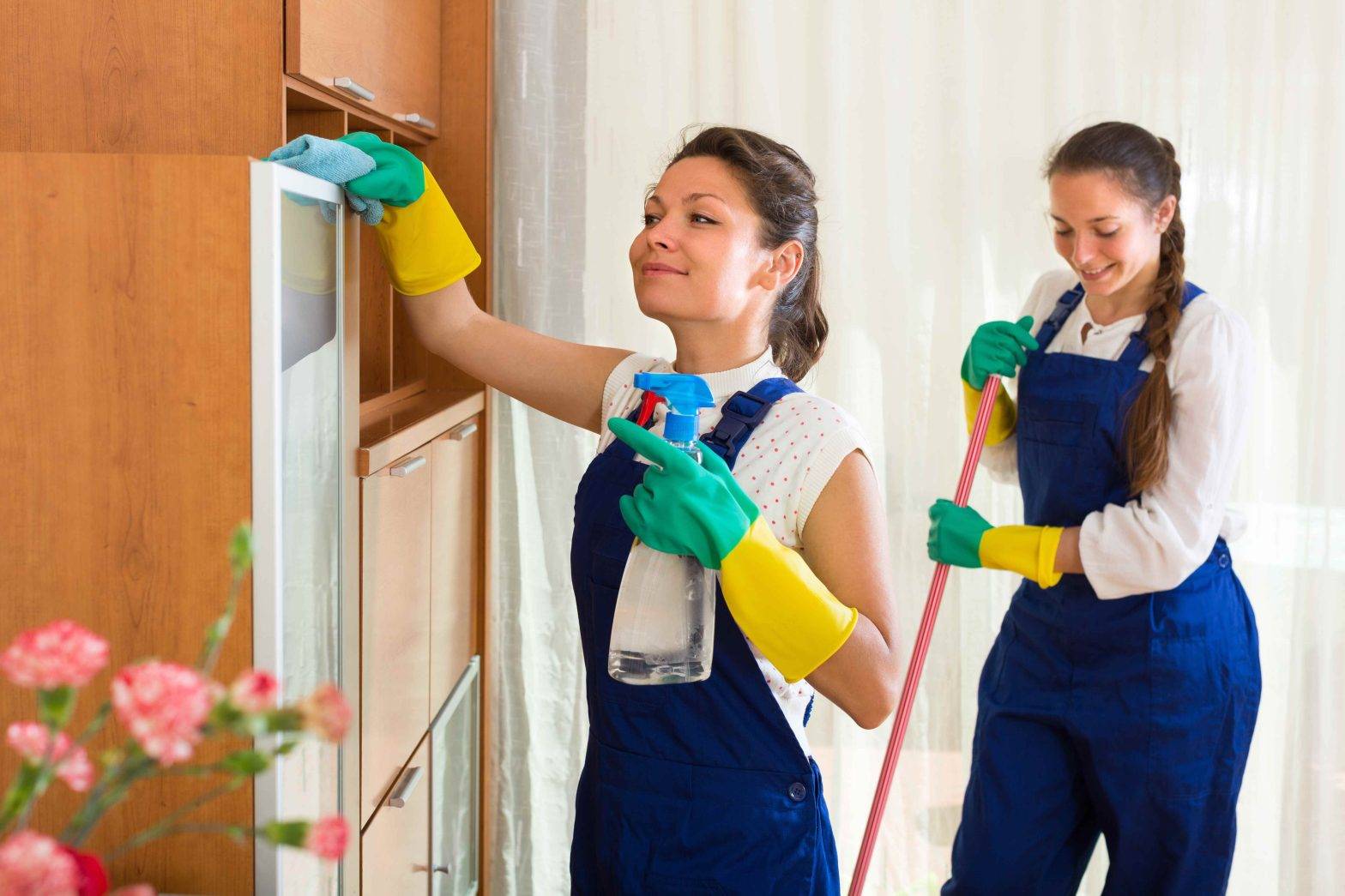 Commercial Cleaners & Home Cleaning Rockford + Delano MN